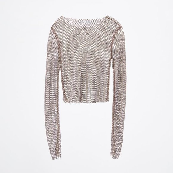 Zara | Tops | Nwt Rhinestone Shimmer Mesh Crop Top | Poshmark